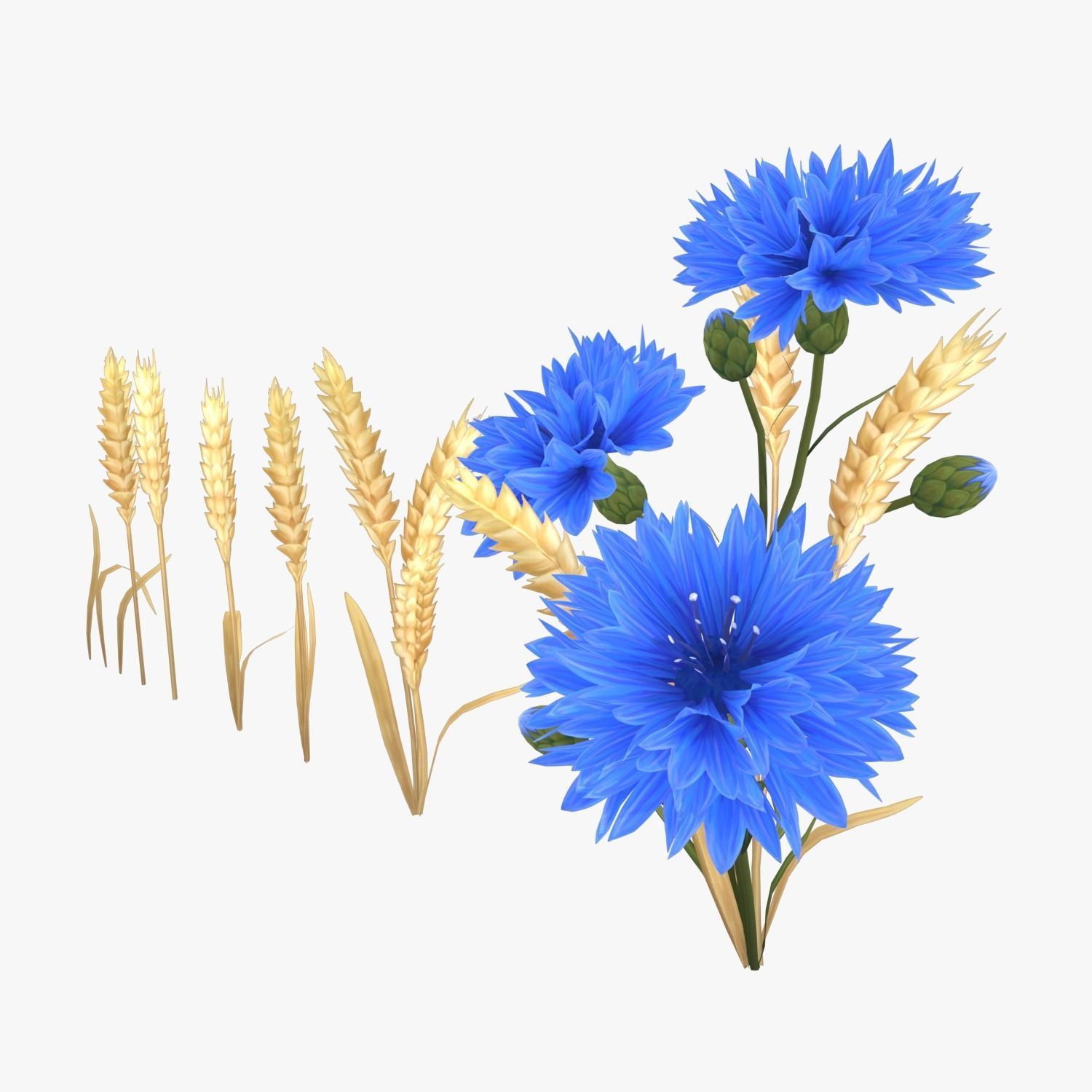 3D model Stylized Cornflower and Wheat VR / AR / low-poly | CGTrader