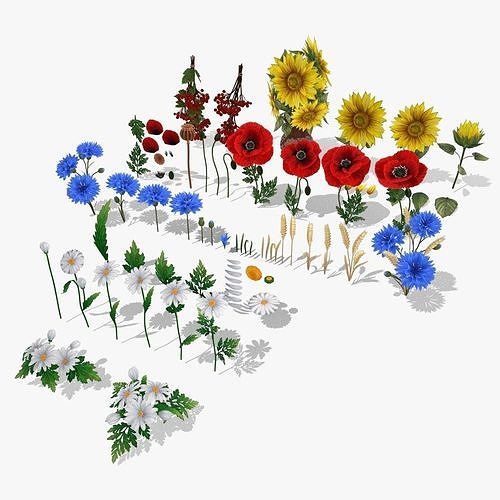 3D model Pack Stylized handpainted wild flowers VR / AR / low-poly ...