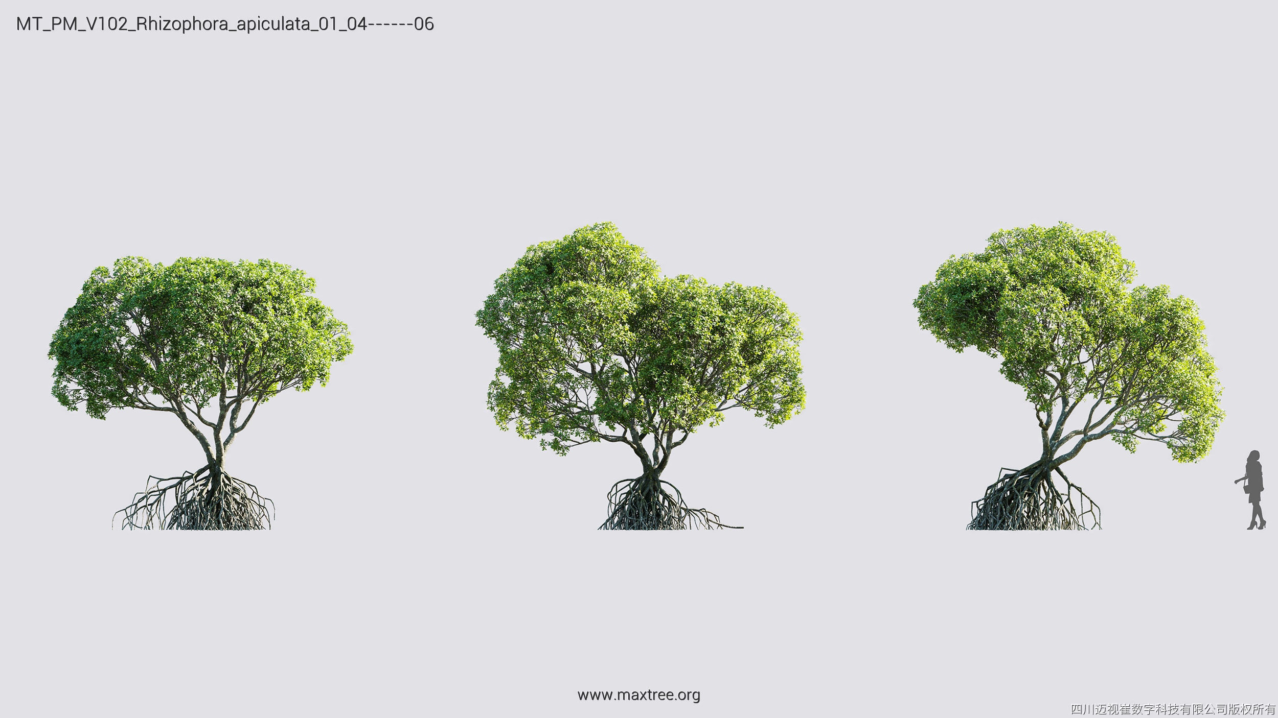 Maxtree Plant Models Vol 102 - Mesh 3D model | CGTrader