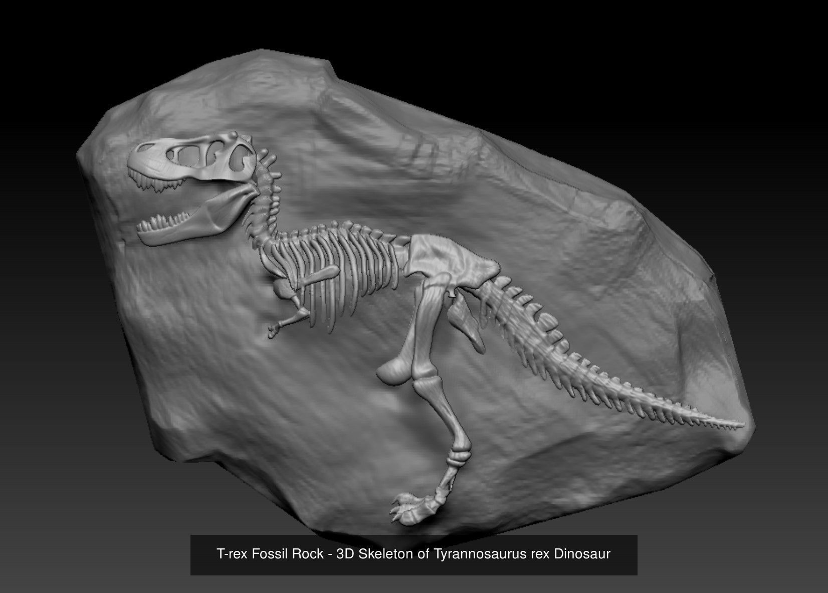 3D Dinosaurs Skeleton Bones 3D Model Collection | CGTrader