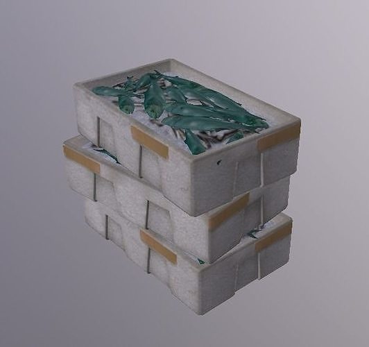 3D model Polystyrene box with fish 02 VR / AR / low-poly | CGTrader