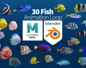 Animated Fish 3D Models | CGTrader