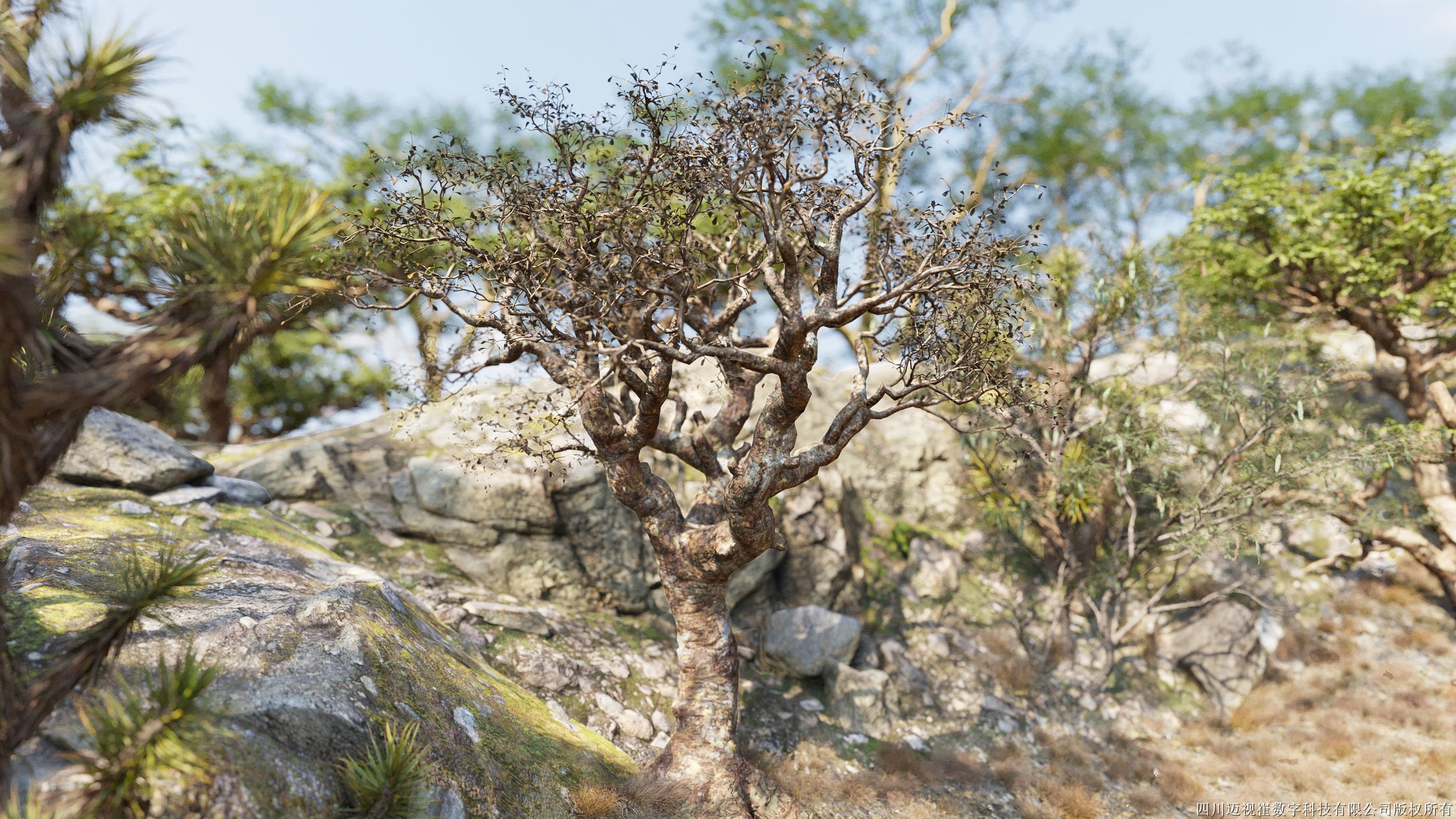 Maxtree Plant Models Vol 103 - Mesh 3D model | CGTrader