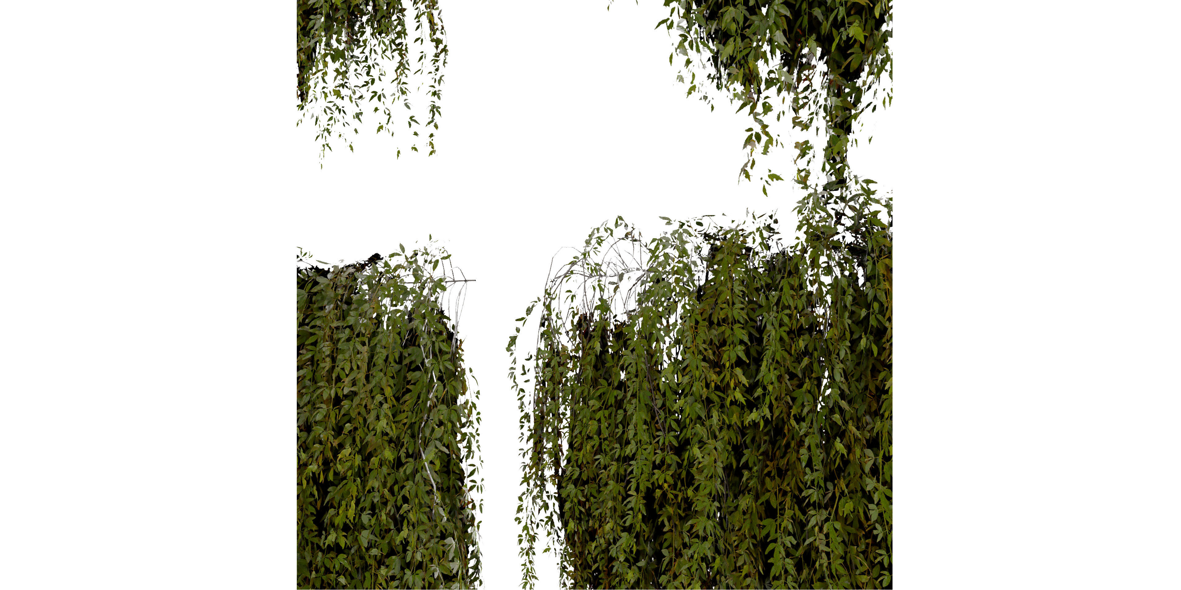 Collection plant vol 486 - outdoor - leaf - ivy - blender model 3D ...