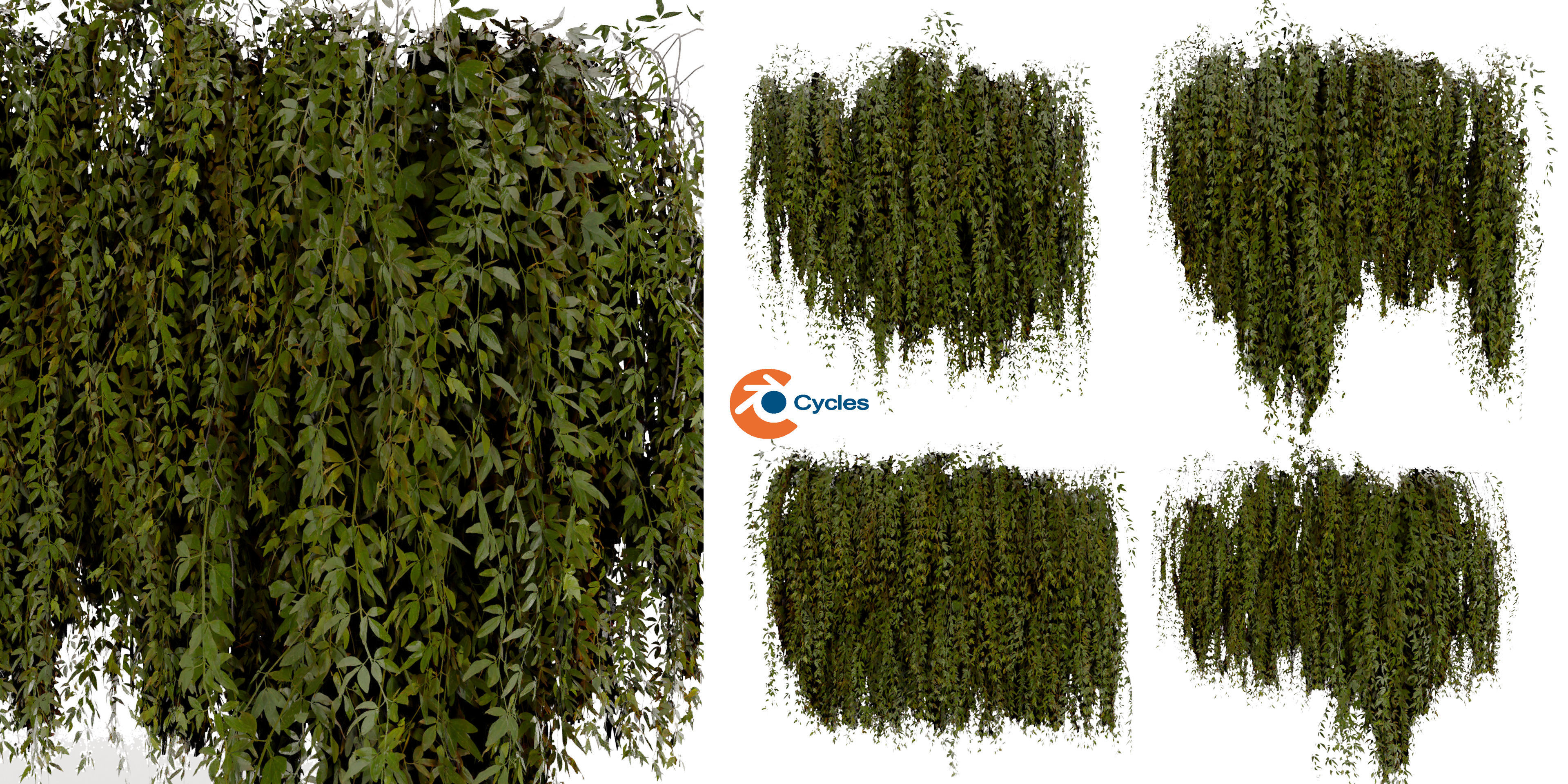 Collection plant vol 486 - outdoor - leaf - ivy - blender model 3D ...