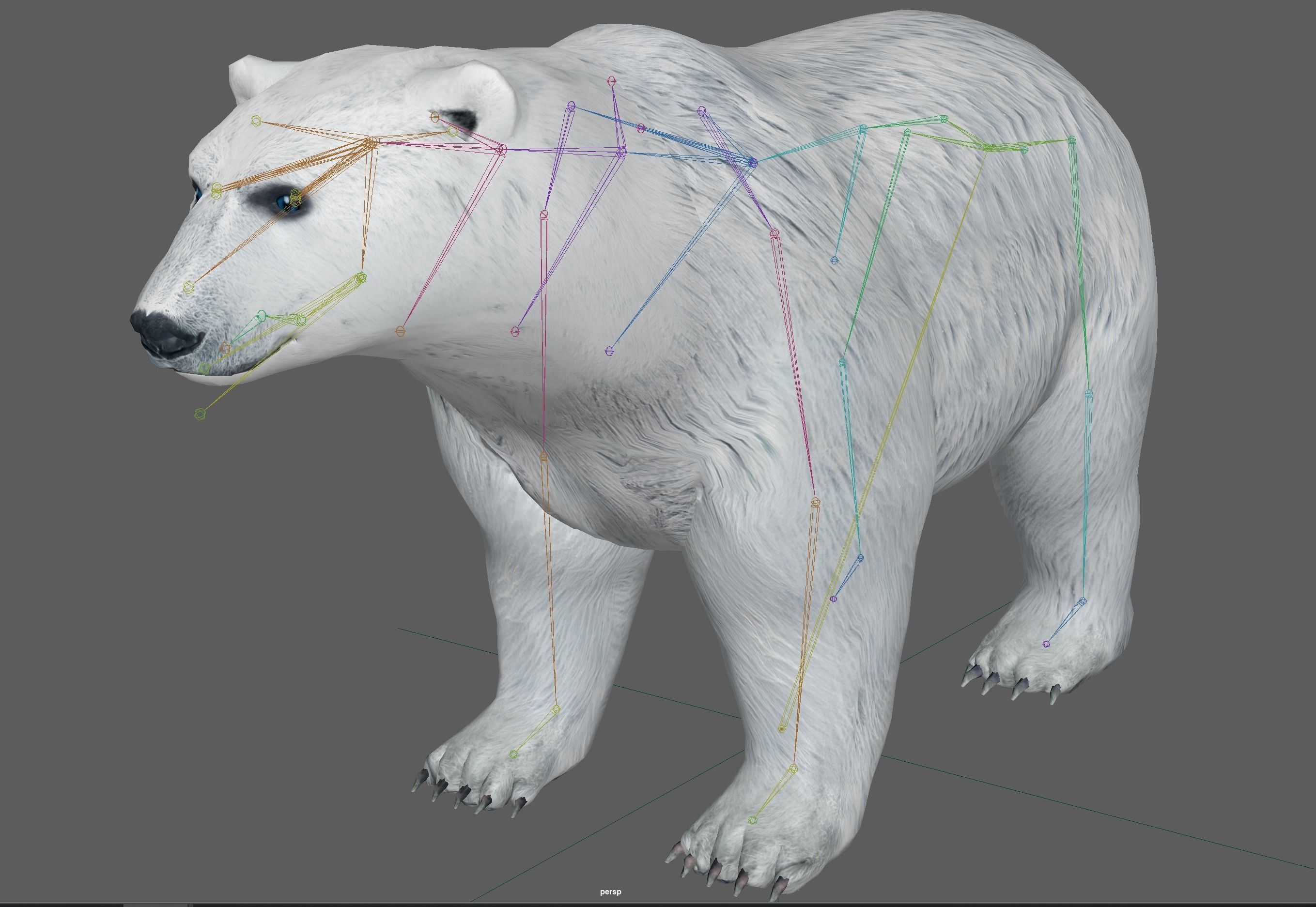 Polar Bear 3D model rigged | CGTrader