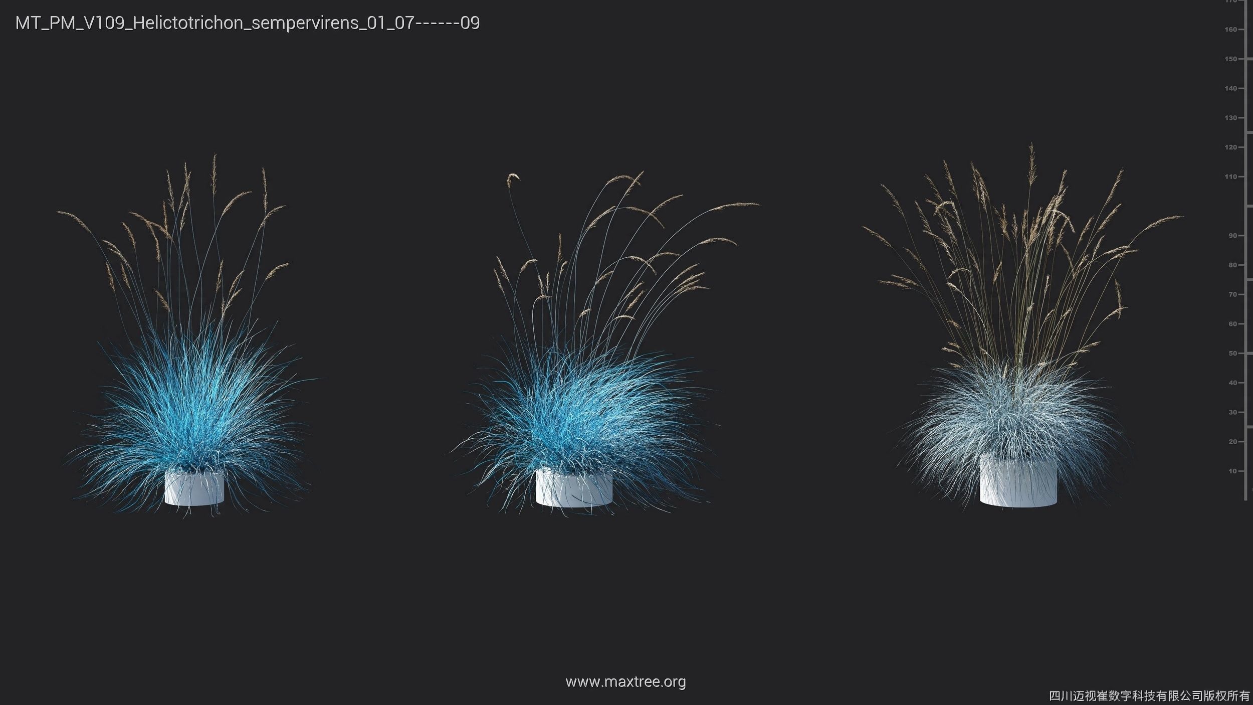 Maxtree Plant Models Vol 109 - Mesh 3D model | CGTrader