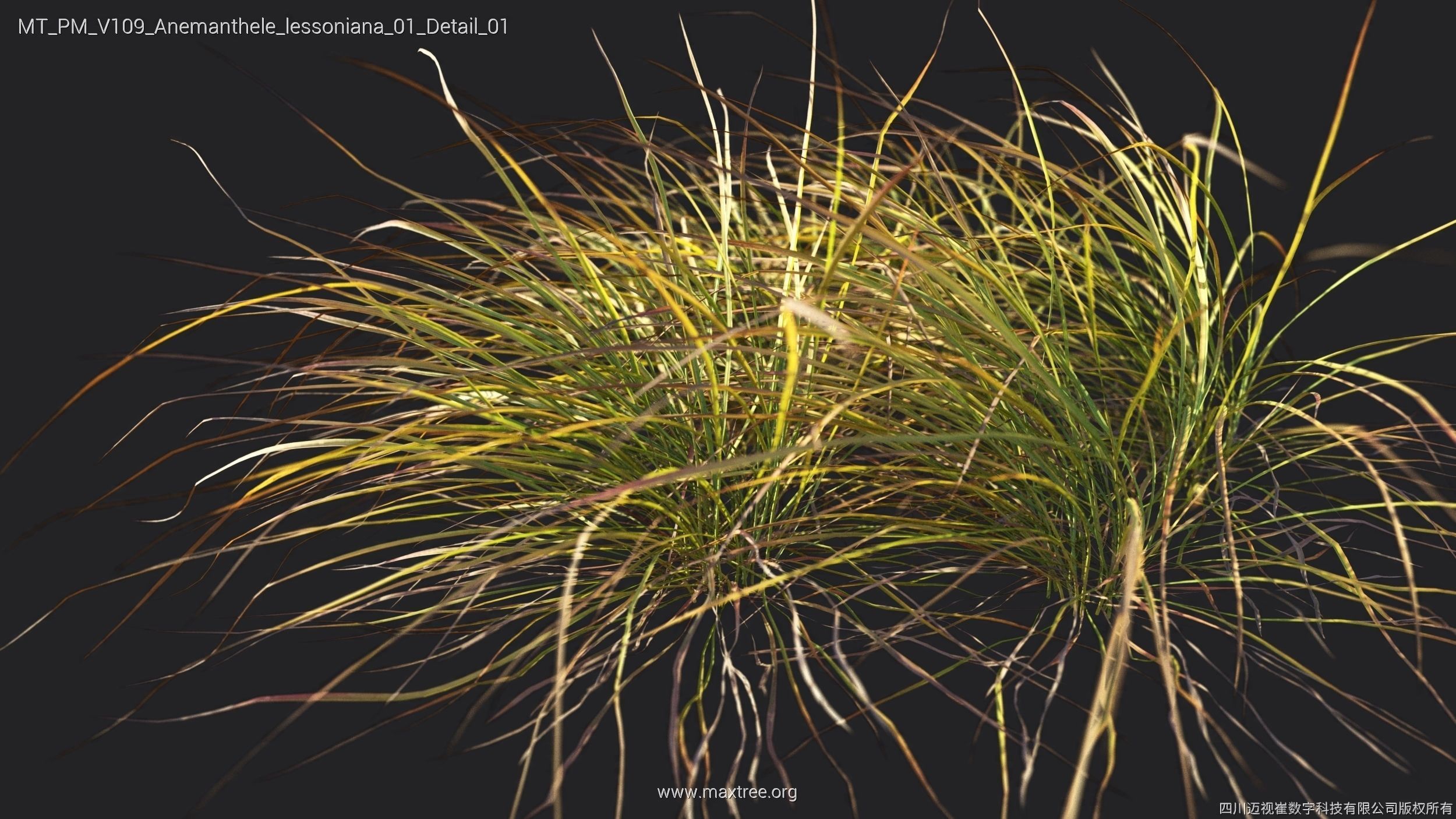 Maxtree Plant Models Vol 109 - Mesh 3D model | CGTrader