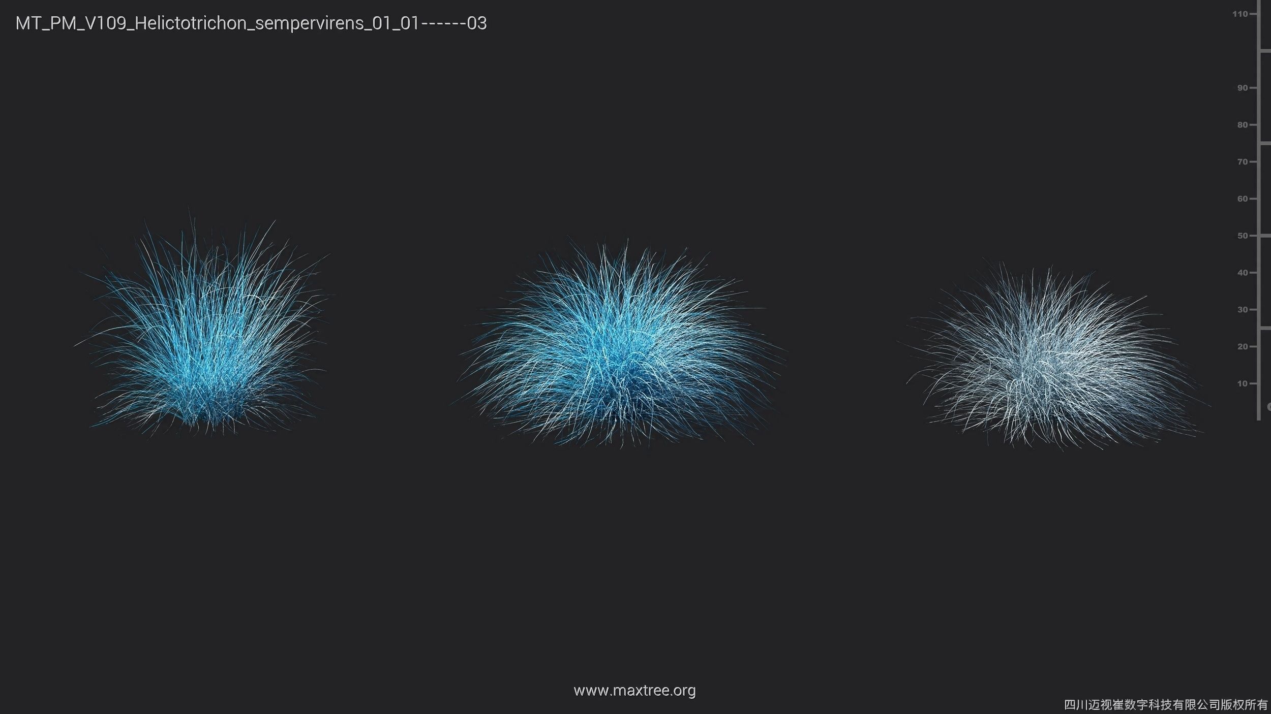 Maxtree Plant Models Vol 109 - Mesh 3D model | CGTrader