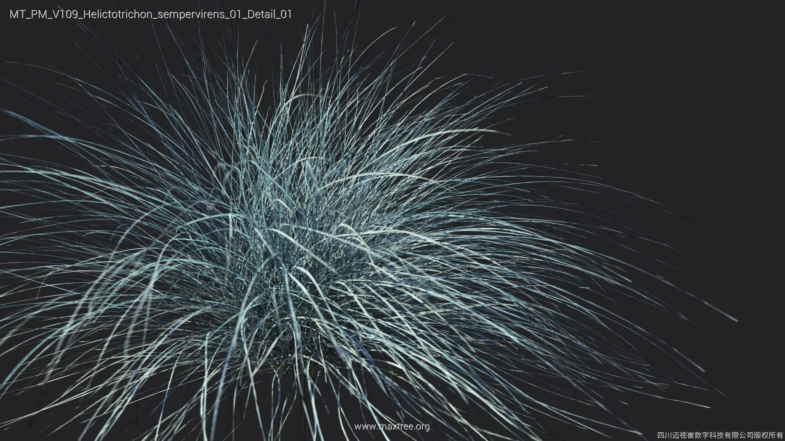 Maxtree Plant Models Vol 109 - Mesh 3D model | CGTrader