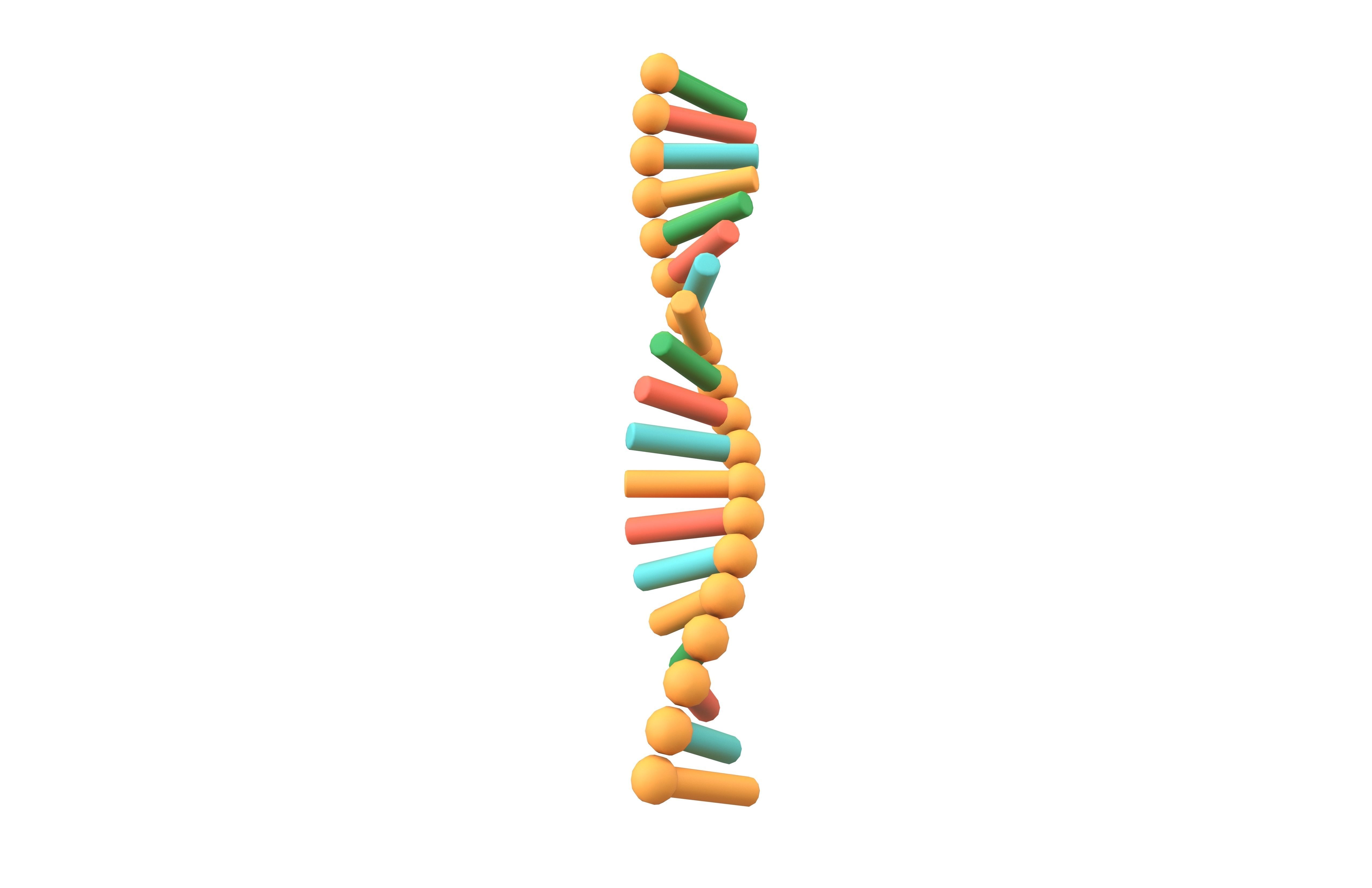 3D model Cartoon RNA Molecule v1 002 VR / AR / low-poly | CGTrader