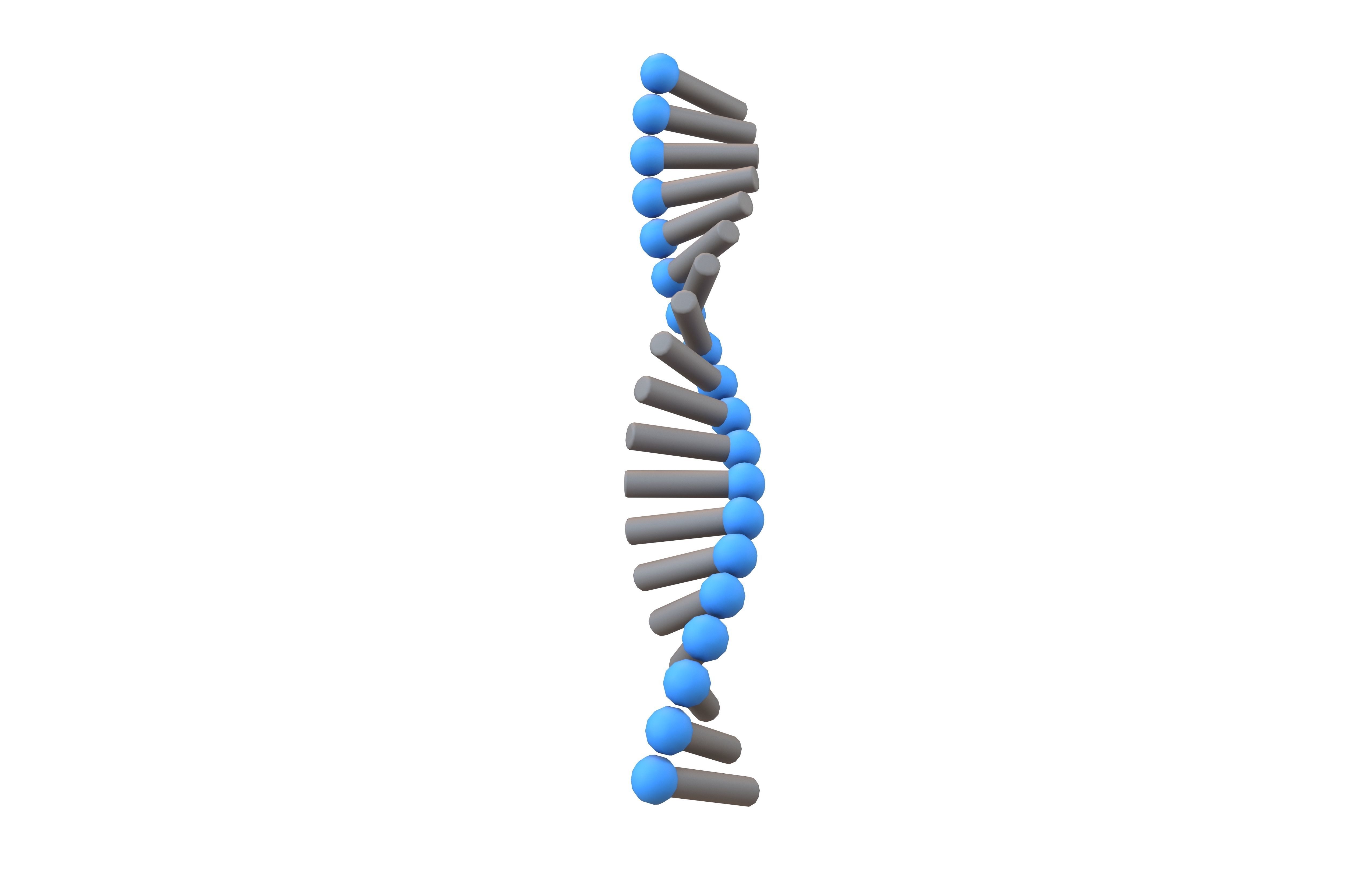 3D model Cartoon RNA Molecule v1 006 VR / AR / low-poly | CGTrader