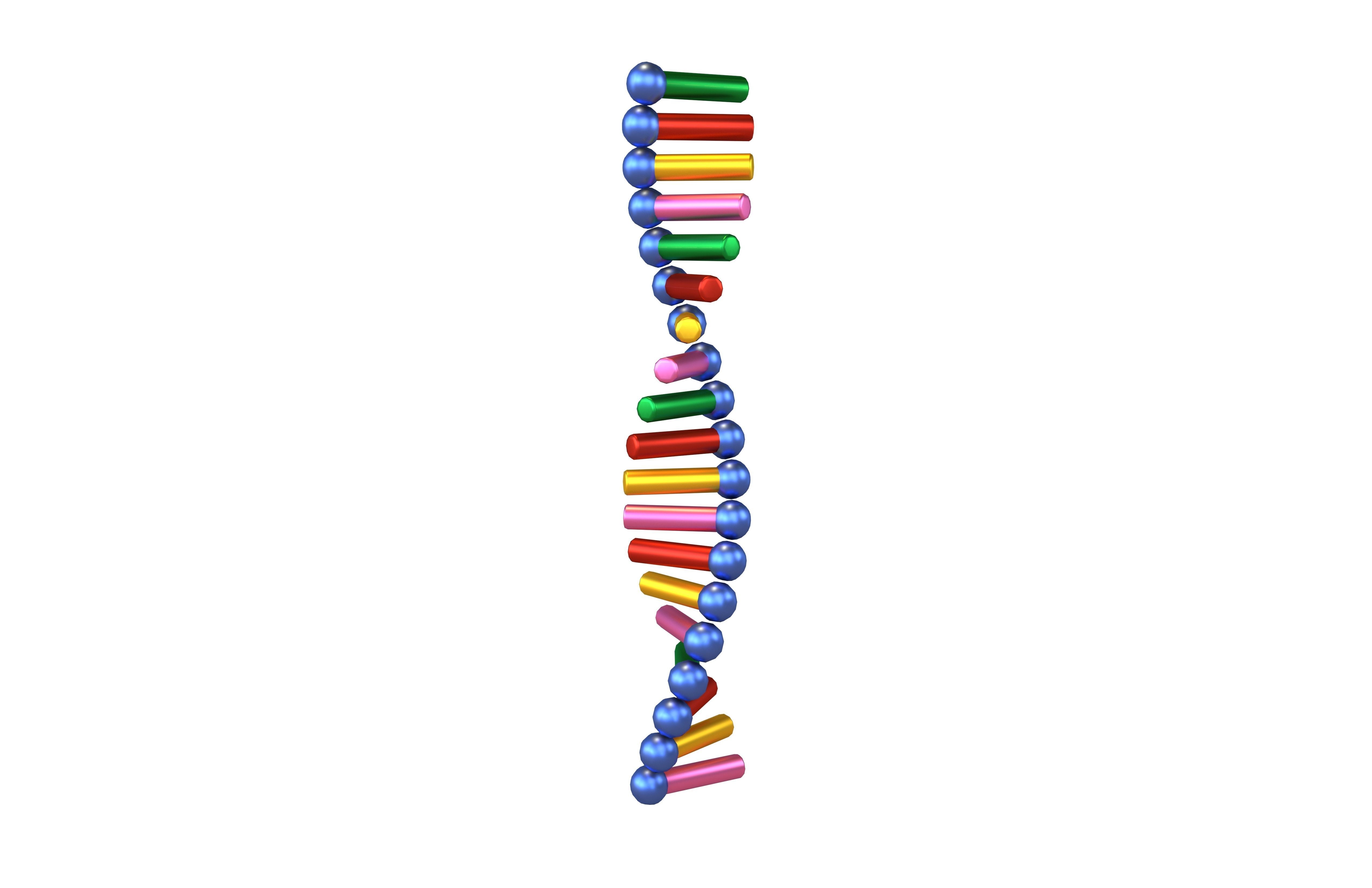 3D model Cartoon RNA Molecule v1 007 VR / AR / low-poly | CGTrader