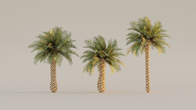 3D model low poly palm trees for forest or exterior VR / AR / low-poly ...