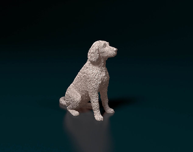 Labradoodle 3D model 3D printable | CGTrader