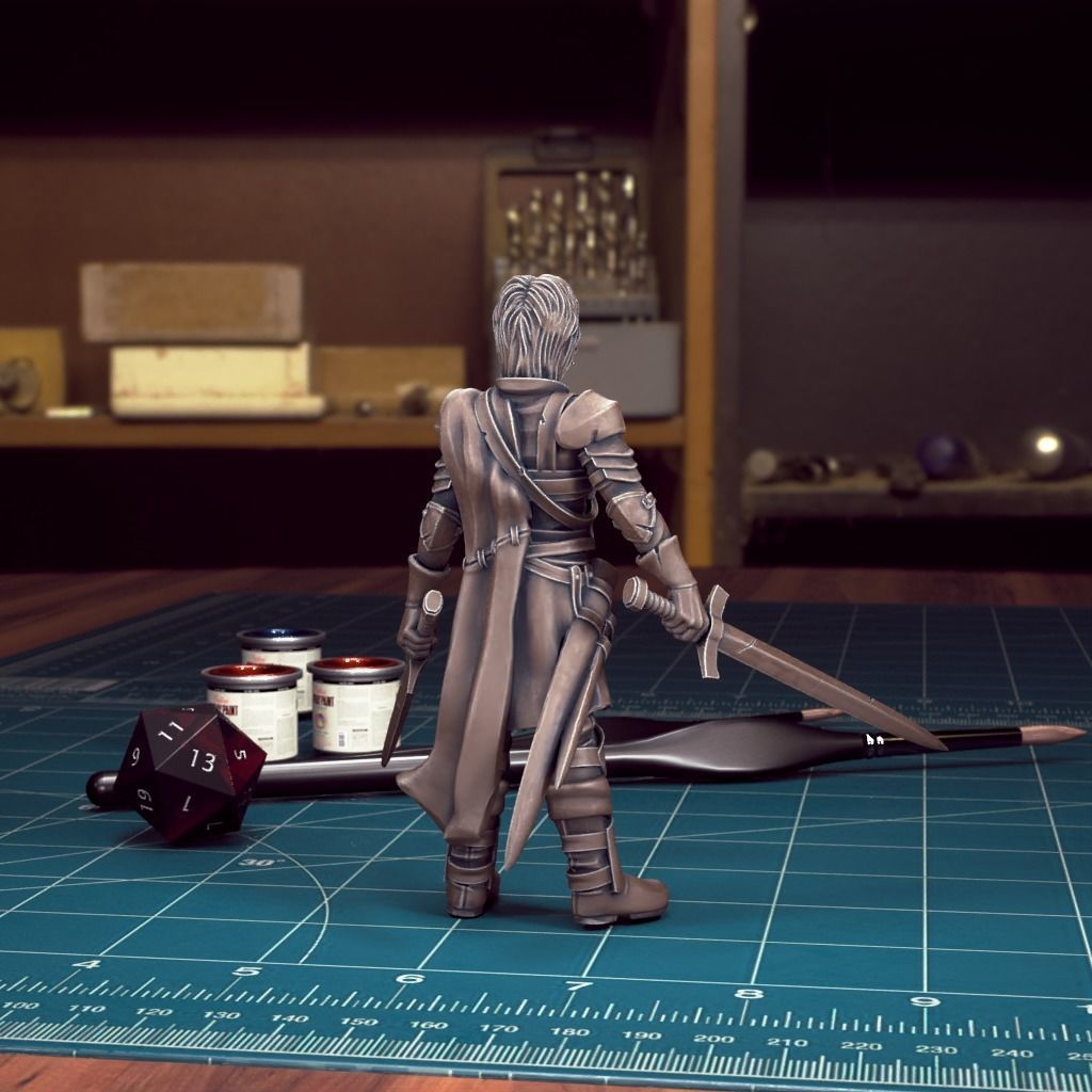 DND Heroes - Female Human Fighter - Pre-Supported 3D model 3D printable ...