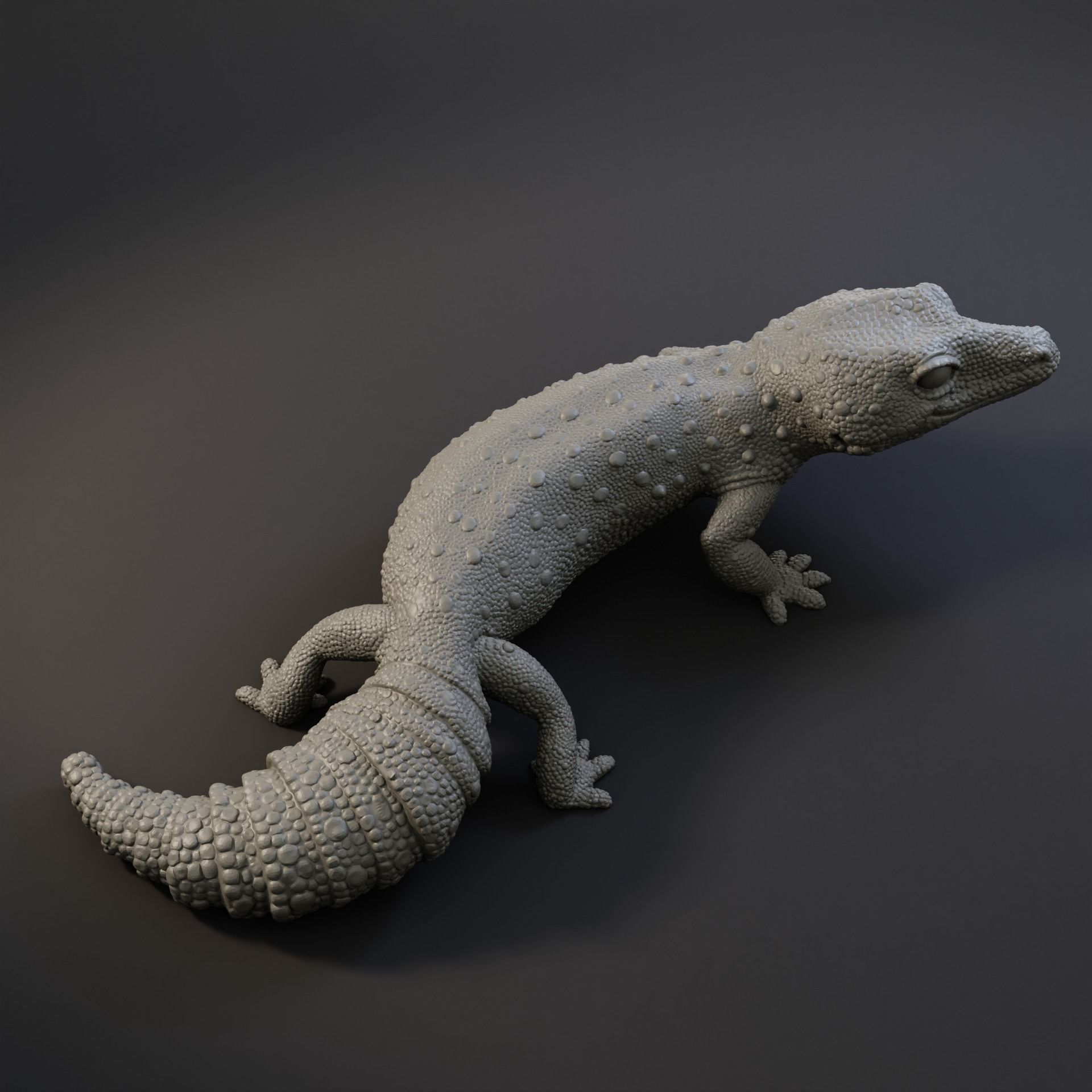 Gecko 3D model 3D printable | CGTrader
