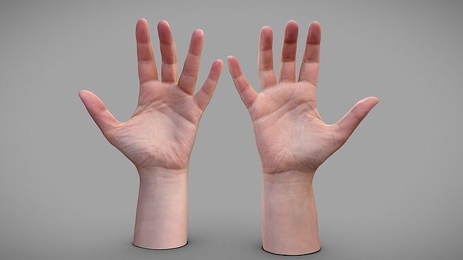Hand Reference For 3d Modeling