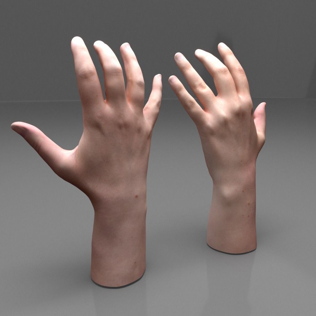 Hands 3D model | CGTrader