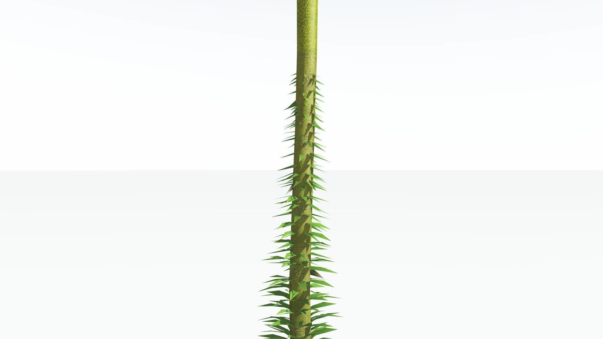 3D model EVERYPlant Chaloneria LowPoly 2 --16 Models-- VR / AR / low ...