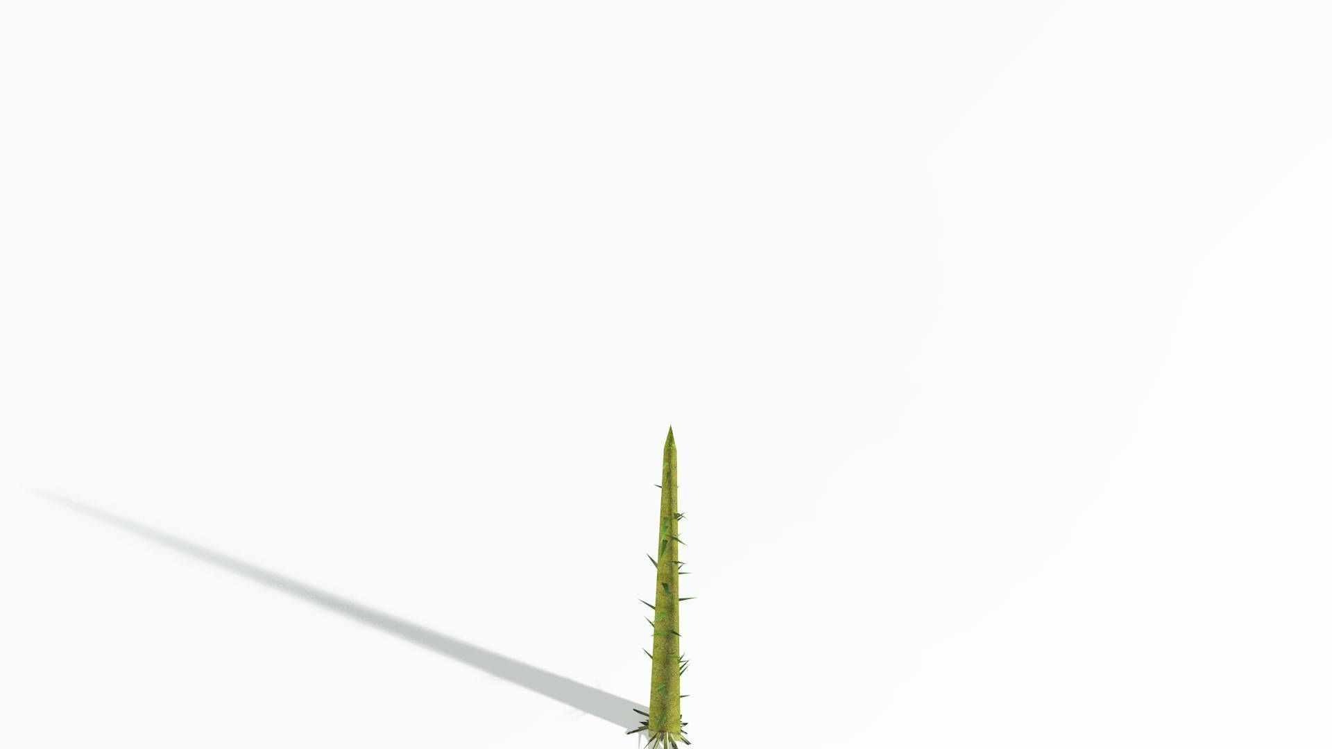 3D model EVERYPlant Chaloneria LowPoly 2 --16 Models-- VR / AR / low ...