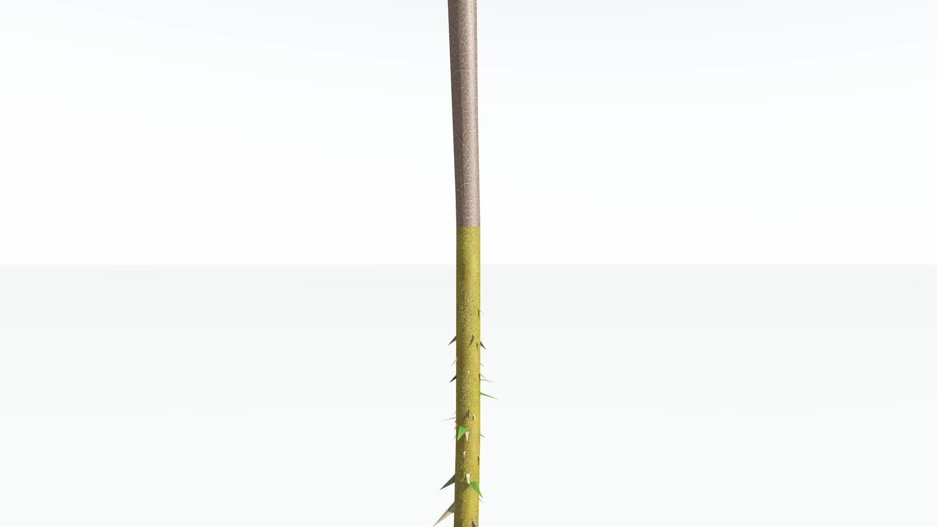 3D model EVERYPlant Chaloneria LowPoly 2 --16 Models-- VR / AR / low ...