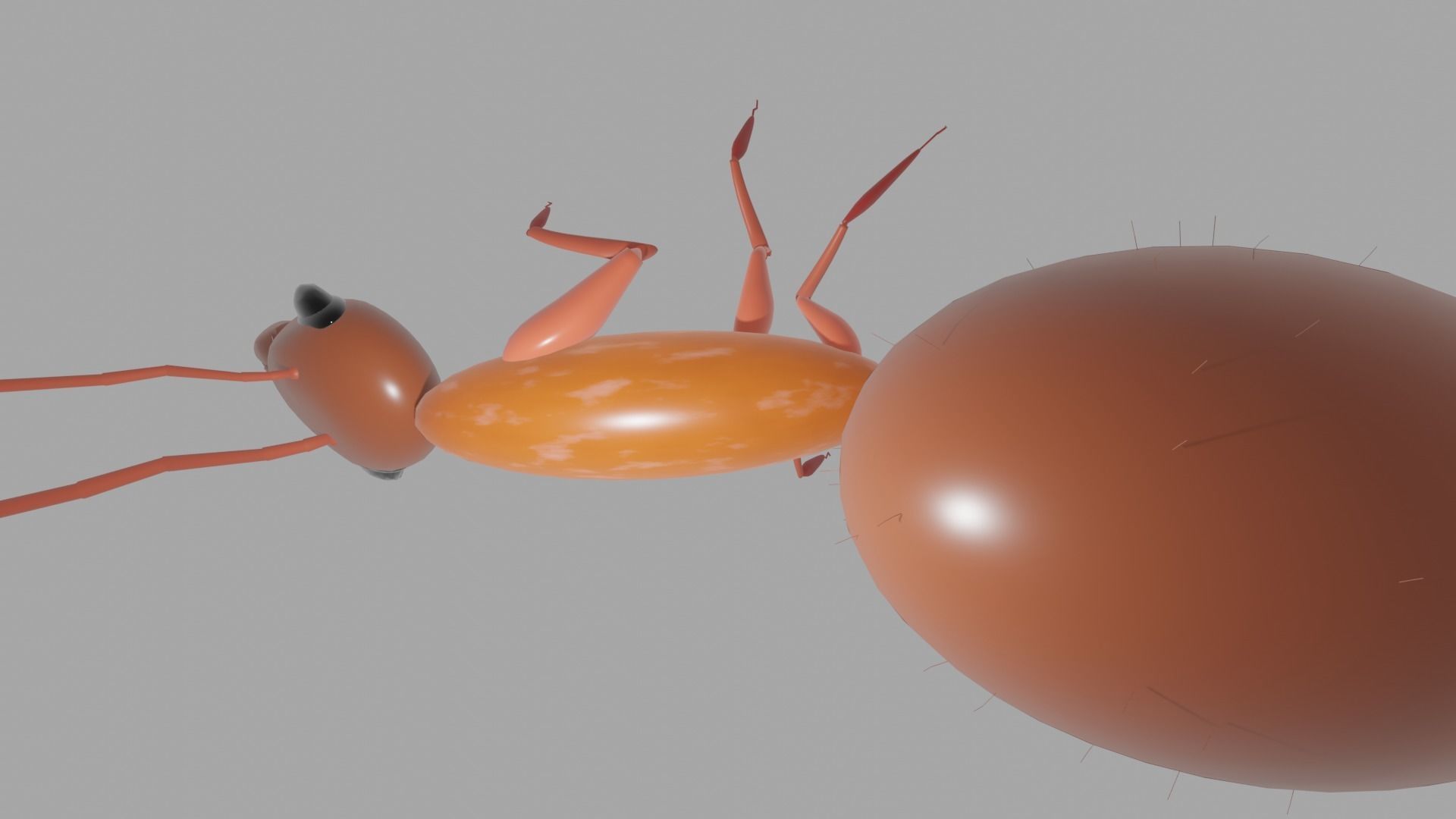 Basic Ant Model 3D model 3D printable | CGTrader