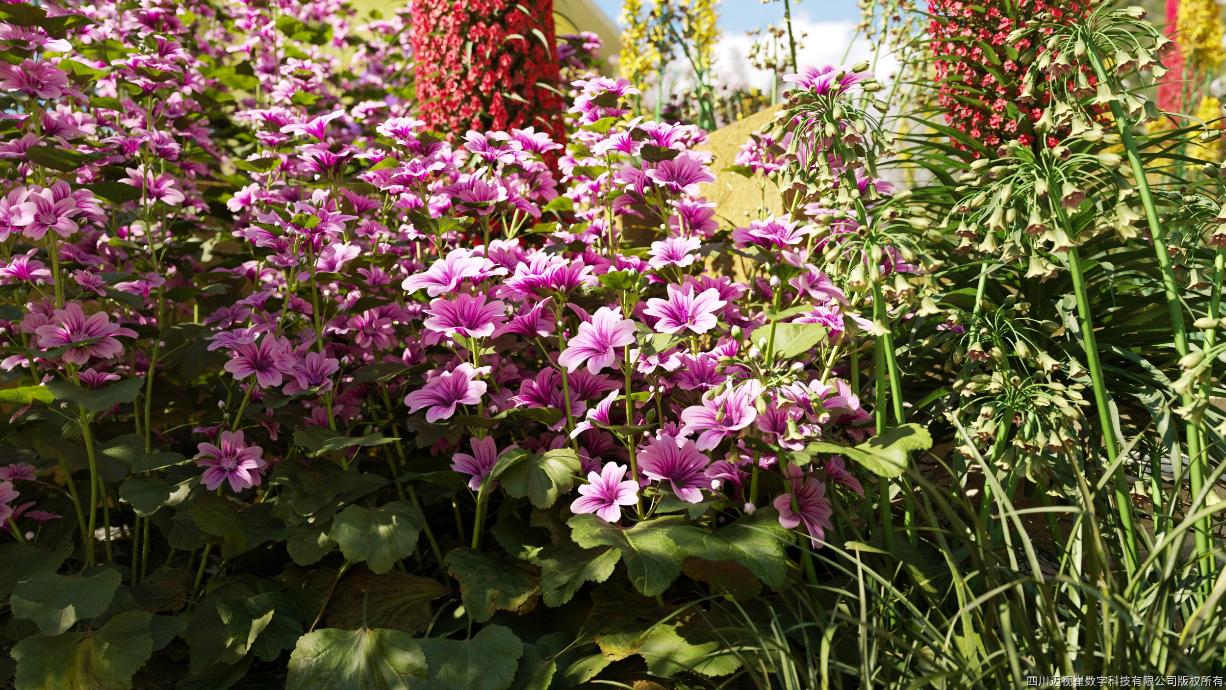 Maxtree Plant Models Vol 115 - Mesh 3D model | CGTrader