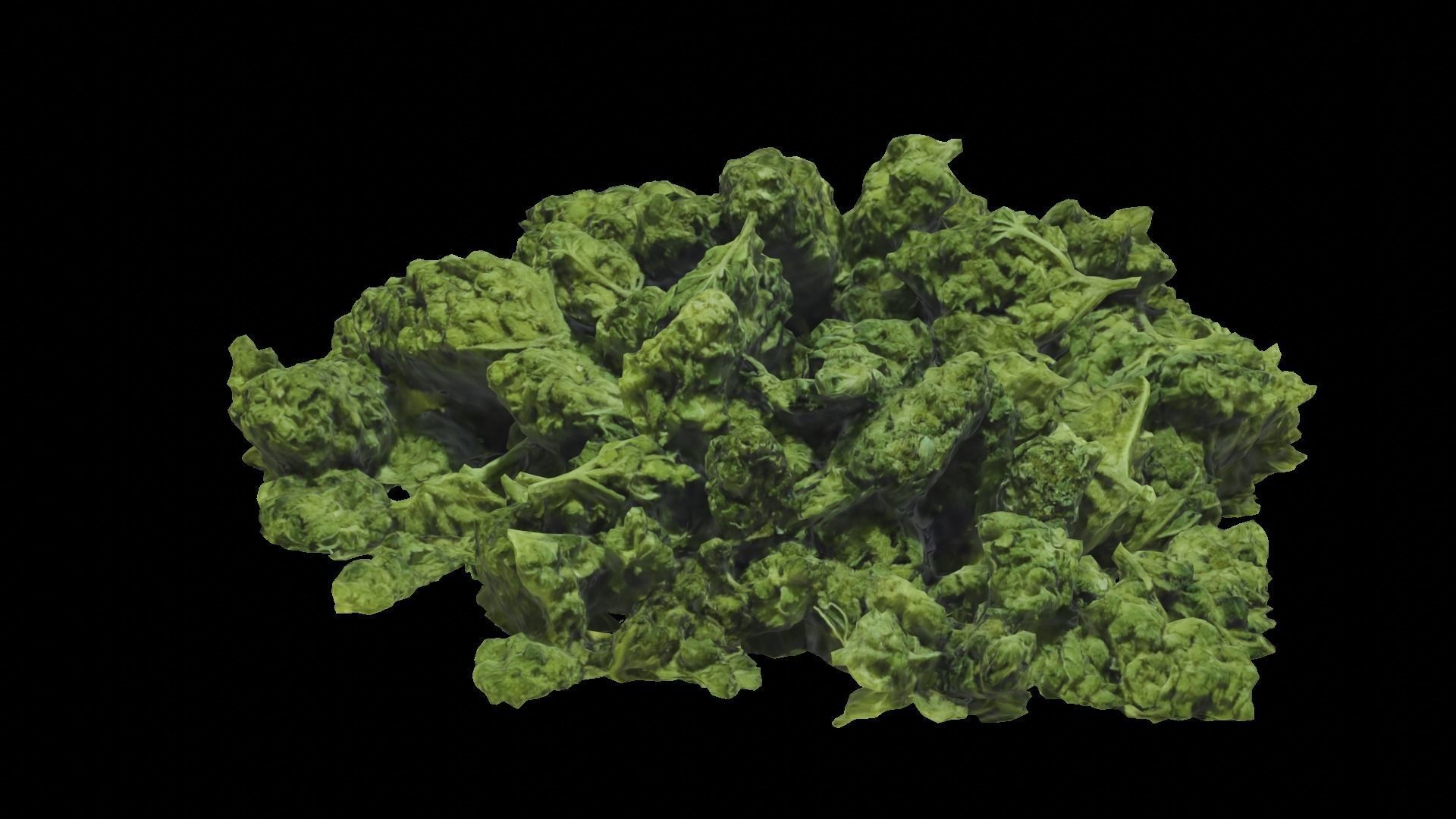 3D model Cannabis Weed Plate VR / AR / low-poly | CGTrader