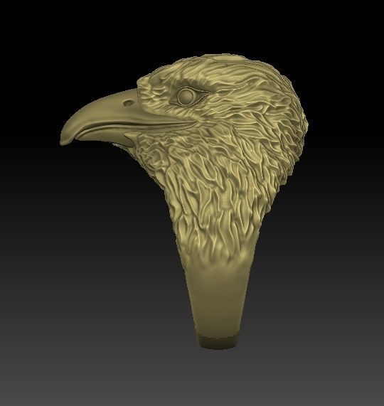 eagle 3D model 3D printable | CGTrader