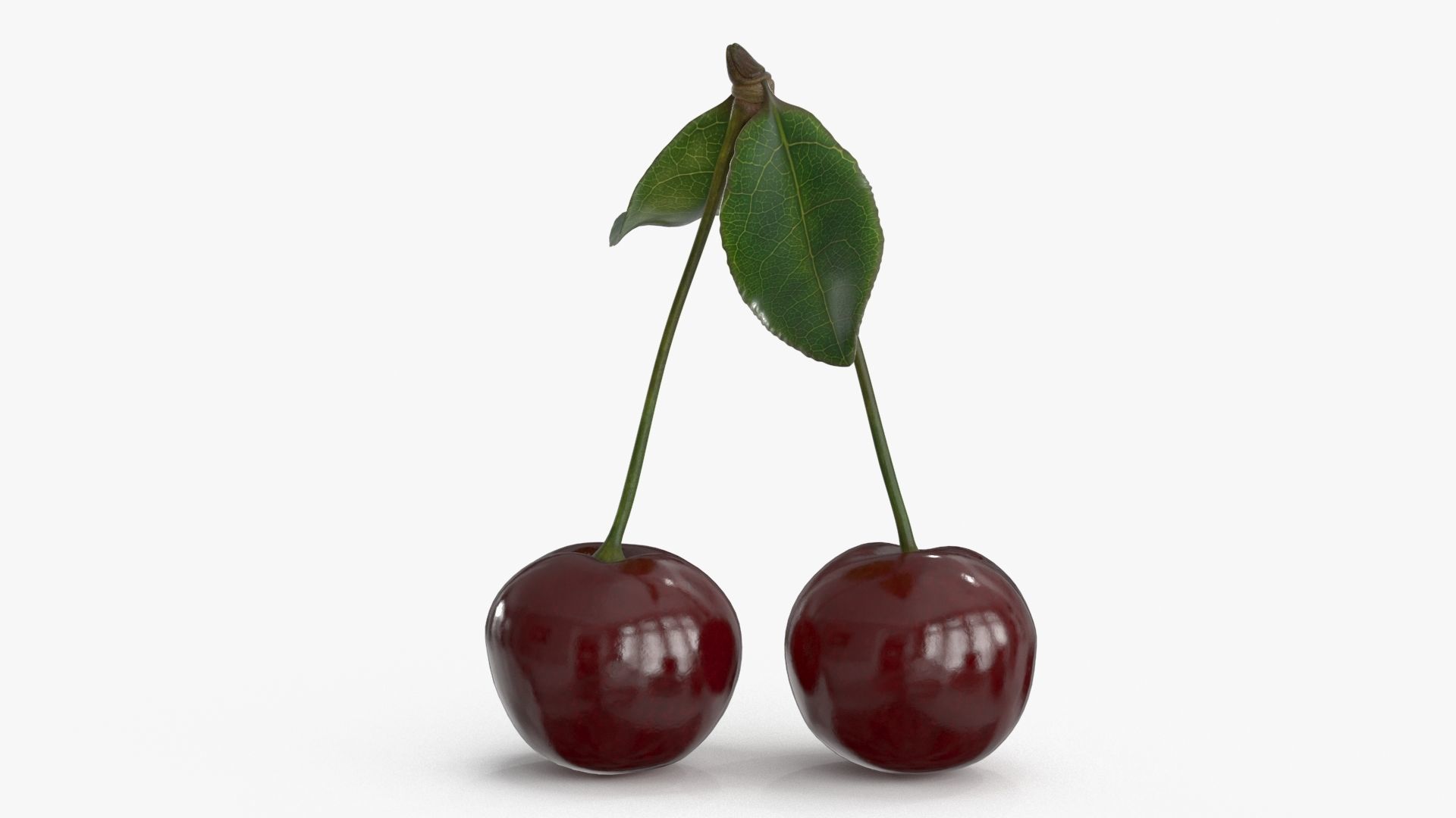 Cherry Collection | CGTrader
