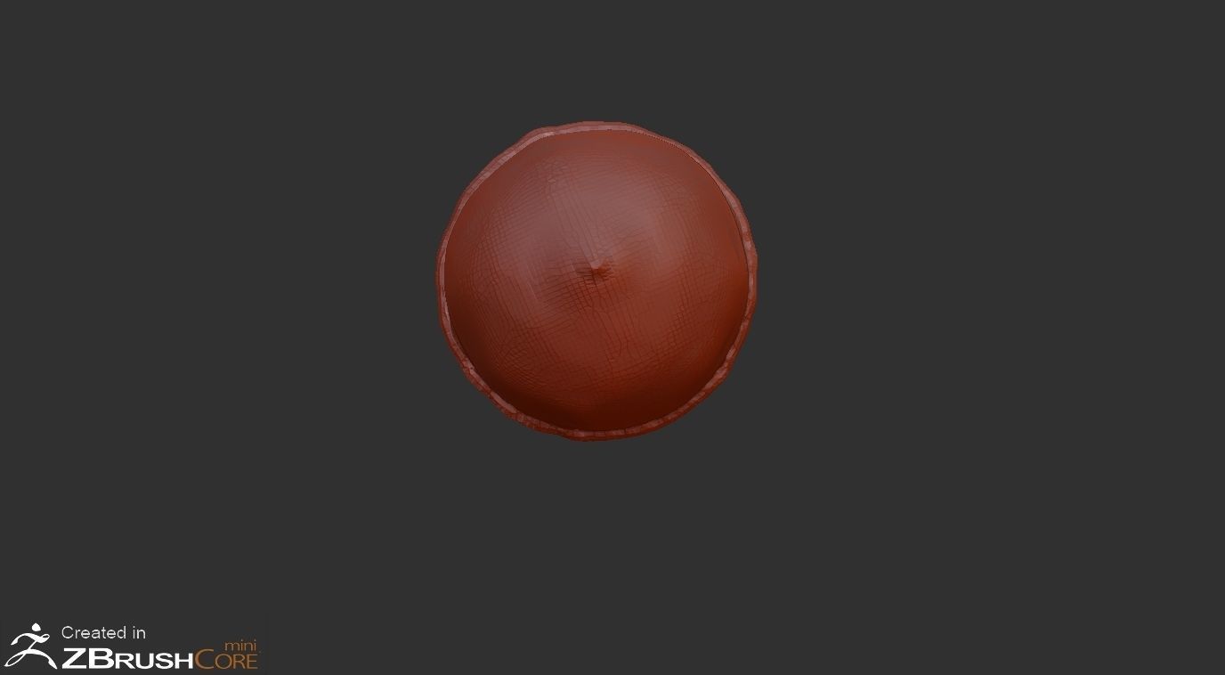 3D model Acorn VR / AR / low-poly | CGTrader