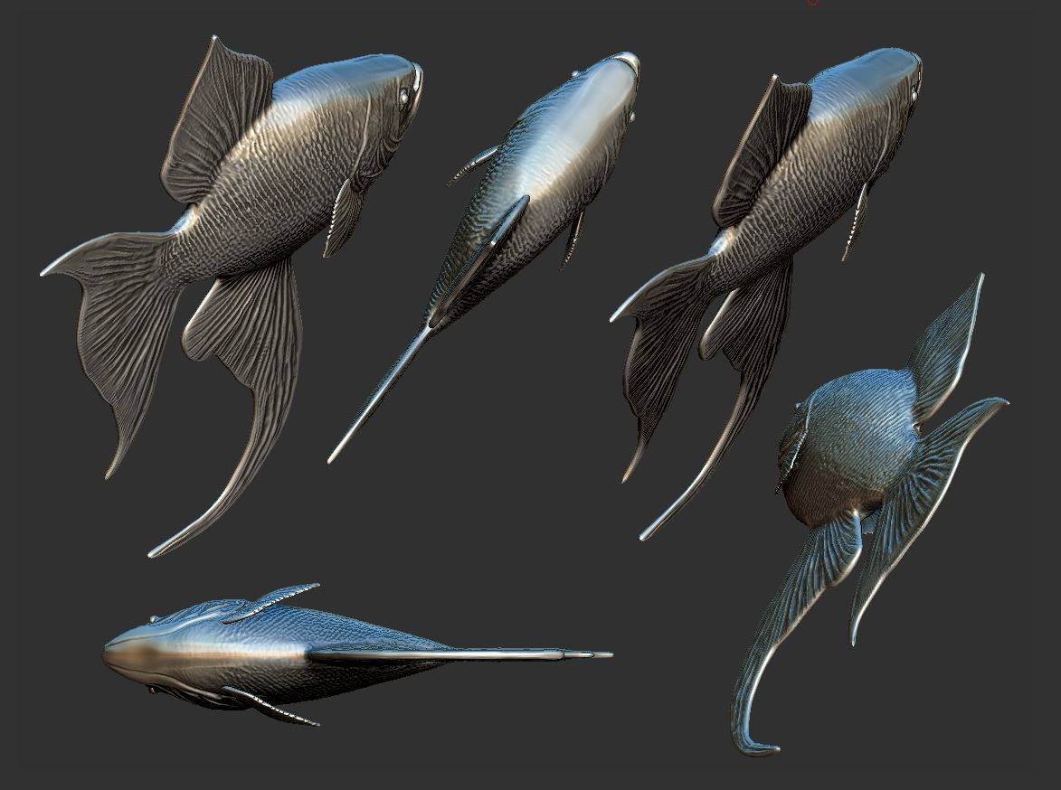 Tropical fish 3D print model 3D model 3D printable | CGTrader