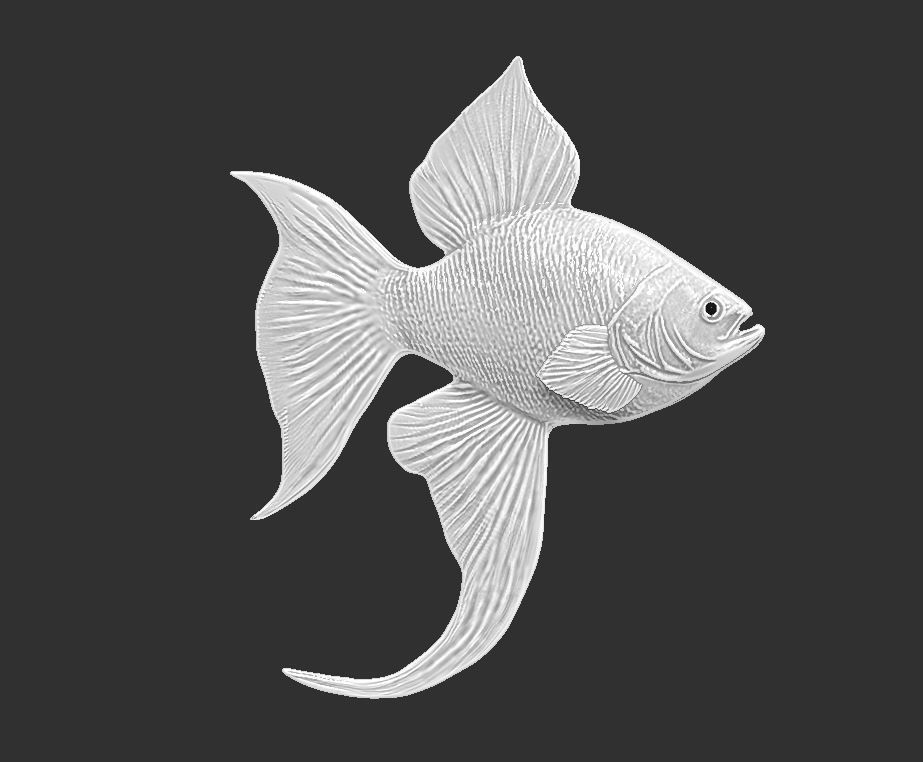 Tropical fish 3D print model 3D model 3D printable | CGTrader