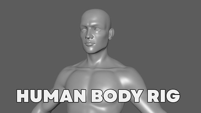 HUMAN BODY RIG 3D model rigged | CGTrader