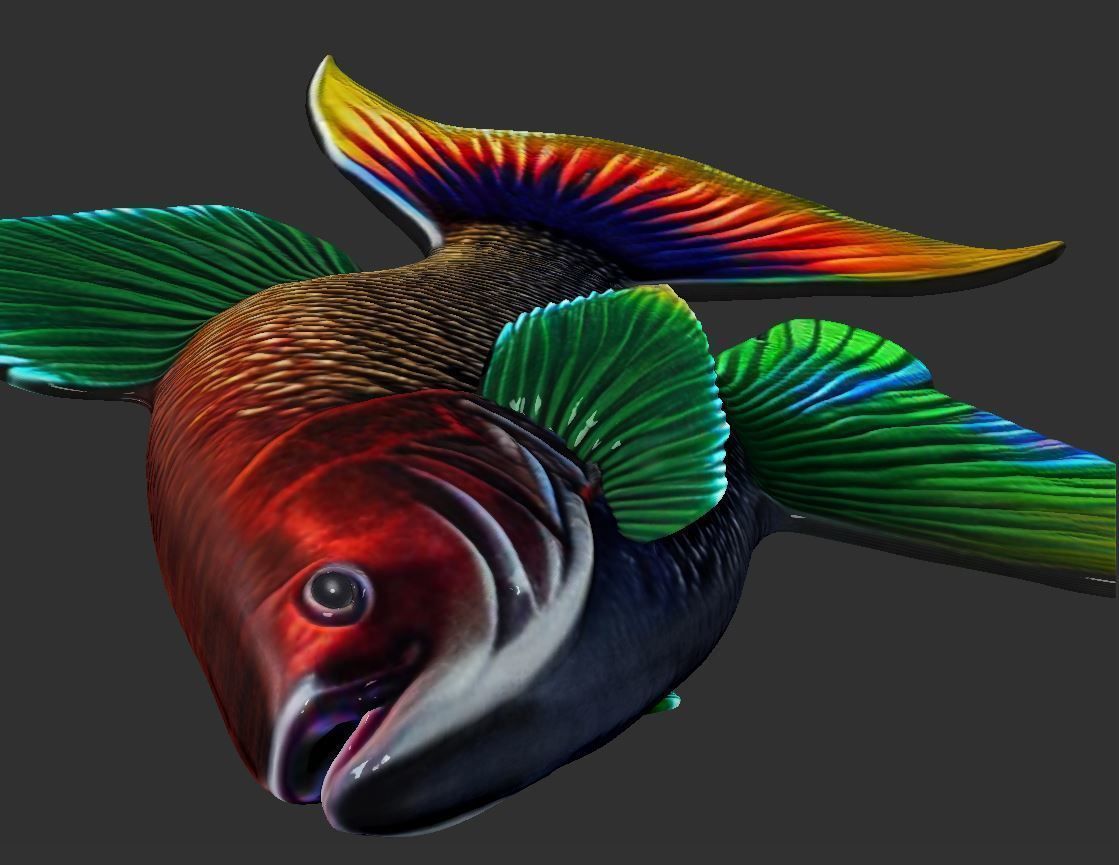 3D model Tropical Fish VR / AR / low-poly | CGTrader