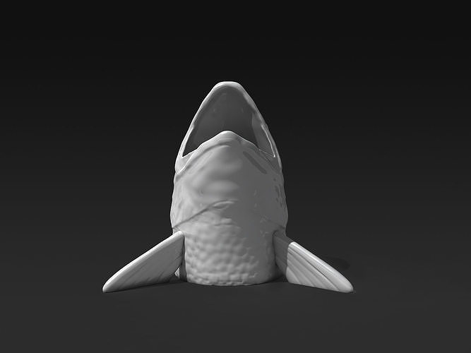 Fish Head 3D model 3D printable | CGTrader