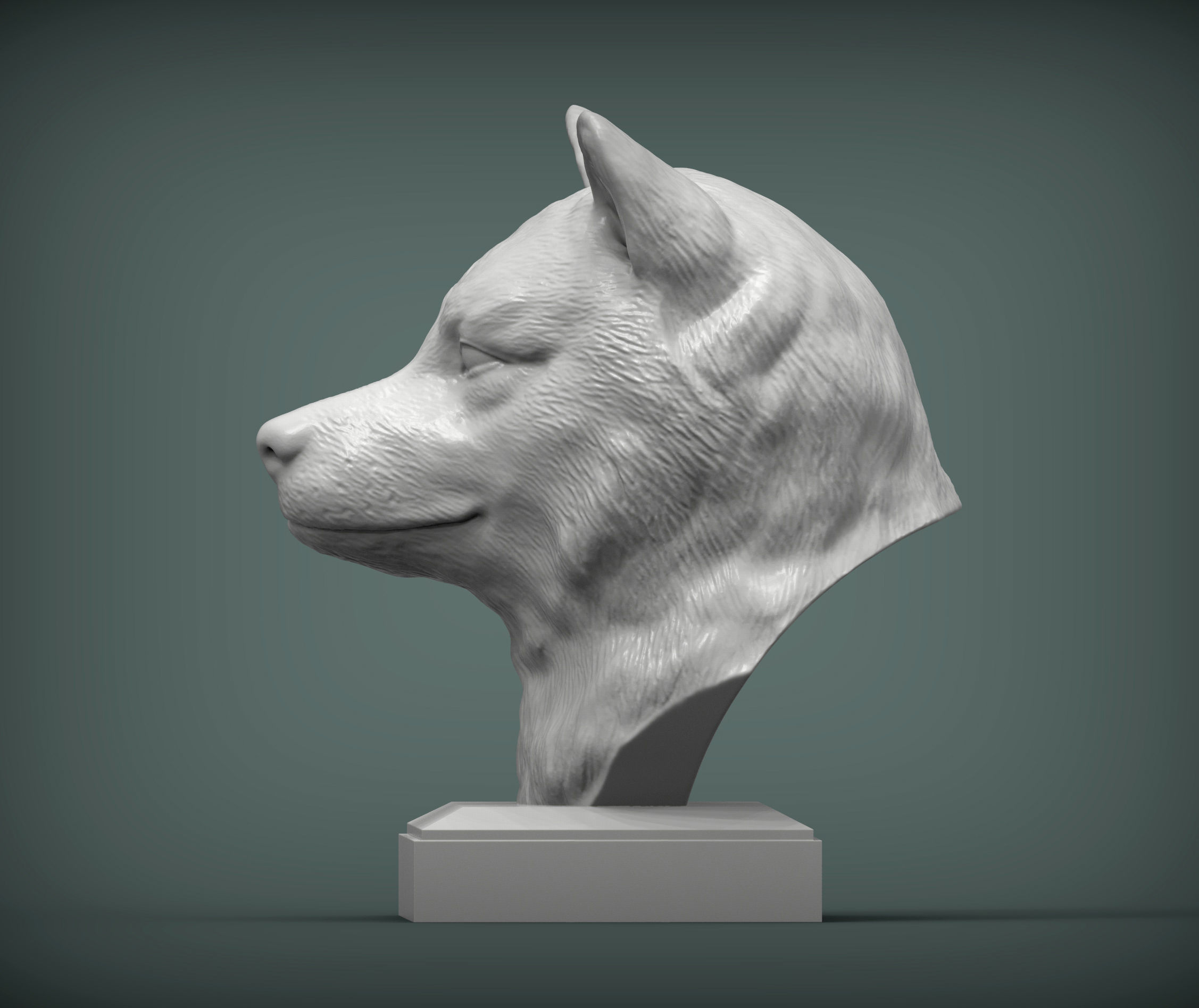 Shiba inu bust 3D model 3D printable | CGTrader