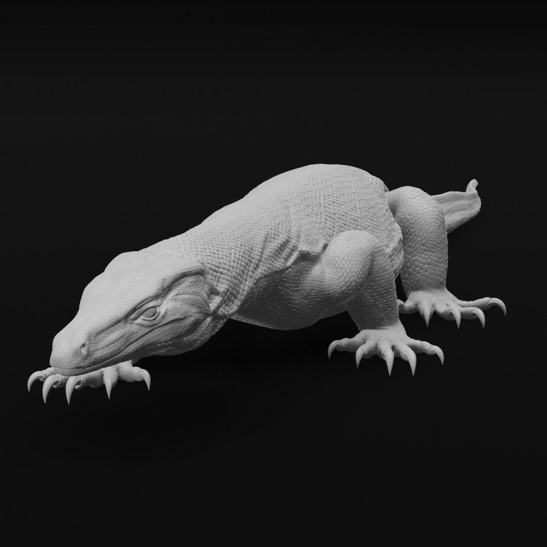 Asian Water Monitor - Lizard Reptile - 3D Print Model 3D model 3D ...