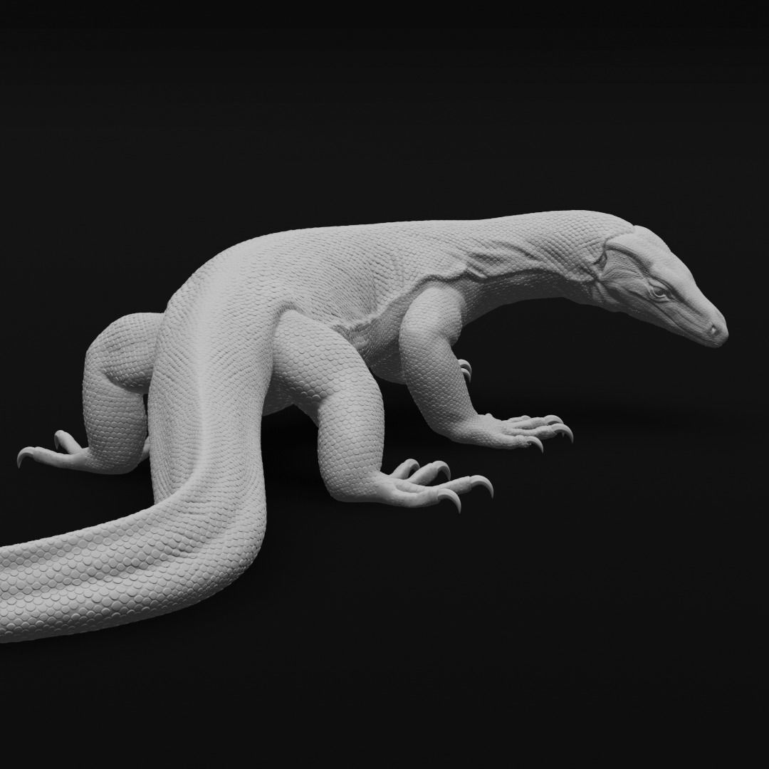 Asian Water Monitor - Lizard Reptile - 3D Print Model 3D model 3D ...
