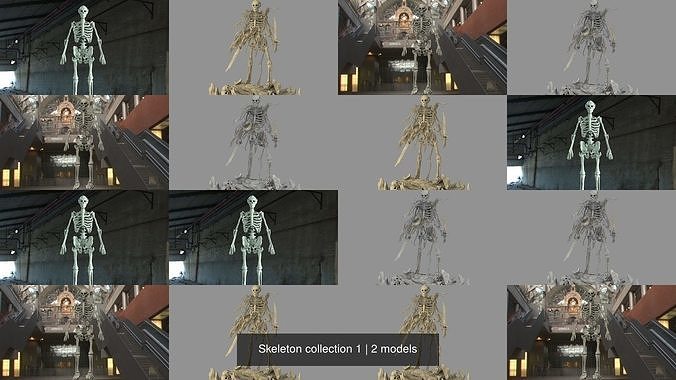 Skeleton collection 1 | CGTrader