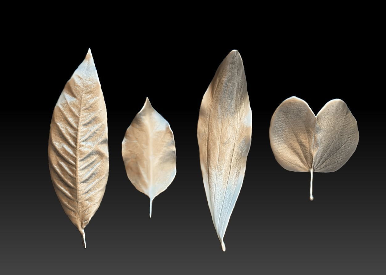 3D printed leaf STL 3D printed leaf STL 3D model 3D printable | CGTrader