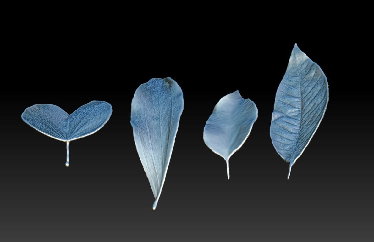 3D printed leaf STL 3D printed leaf STL 3D model 3D printable | CGTrader