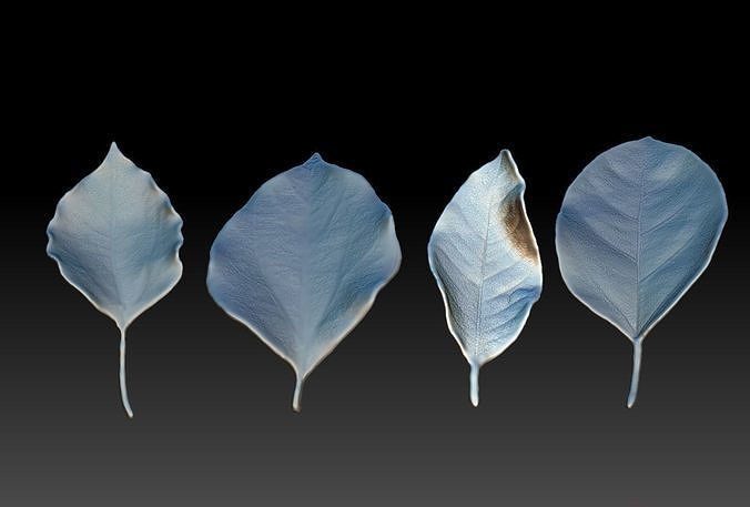 3D printed leaf STL tree leaves Antion 3D model 3D printable | CGTrader