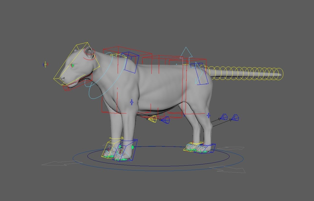 Tiger 3D model rigged | CGTrader