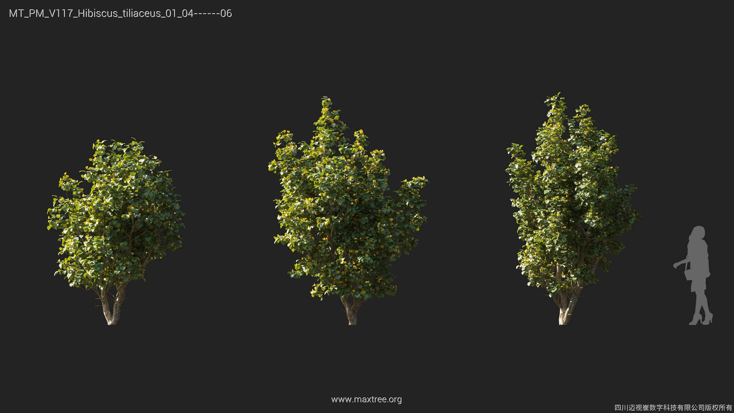 Maxtree Plant Models Vol 117 - Mesh 3D model | CGTrader