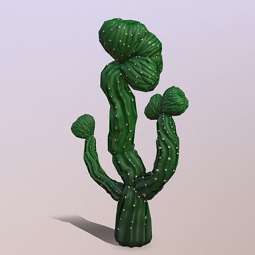 3D model Procedural Cactus PBr VR / AR / low-poly | CGTrader
