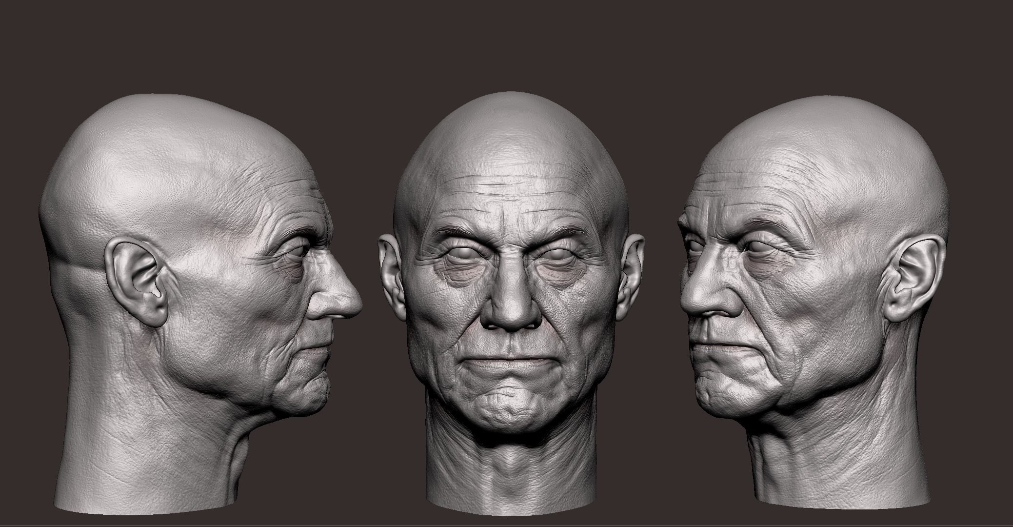 Old Patrick Stewart Head 3D model 3D printable | CGTrader
