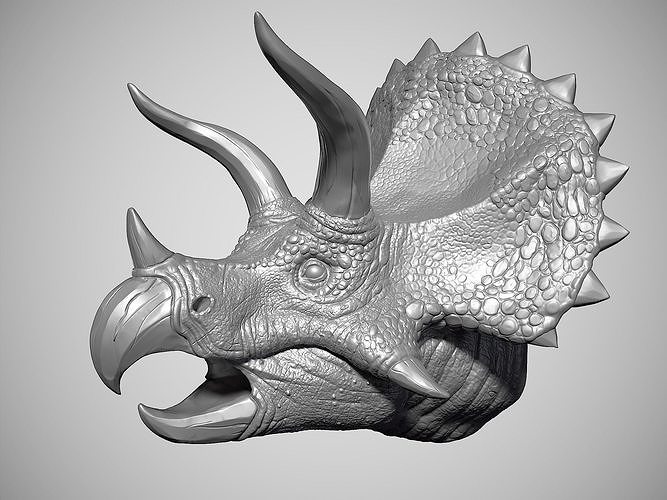 Triceratops Head 3D model 3D printable | CGTrader