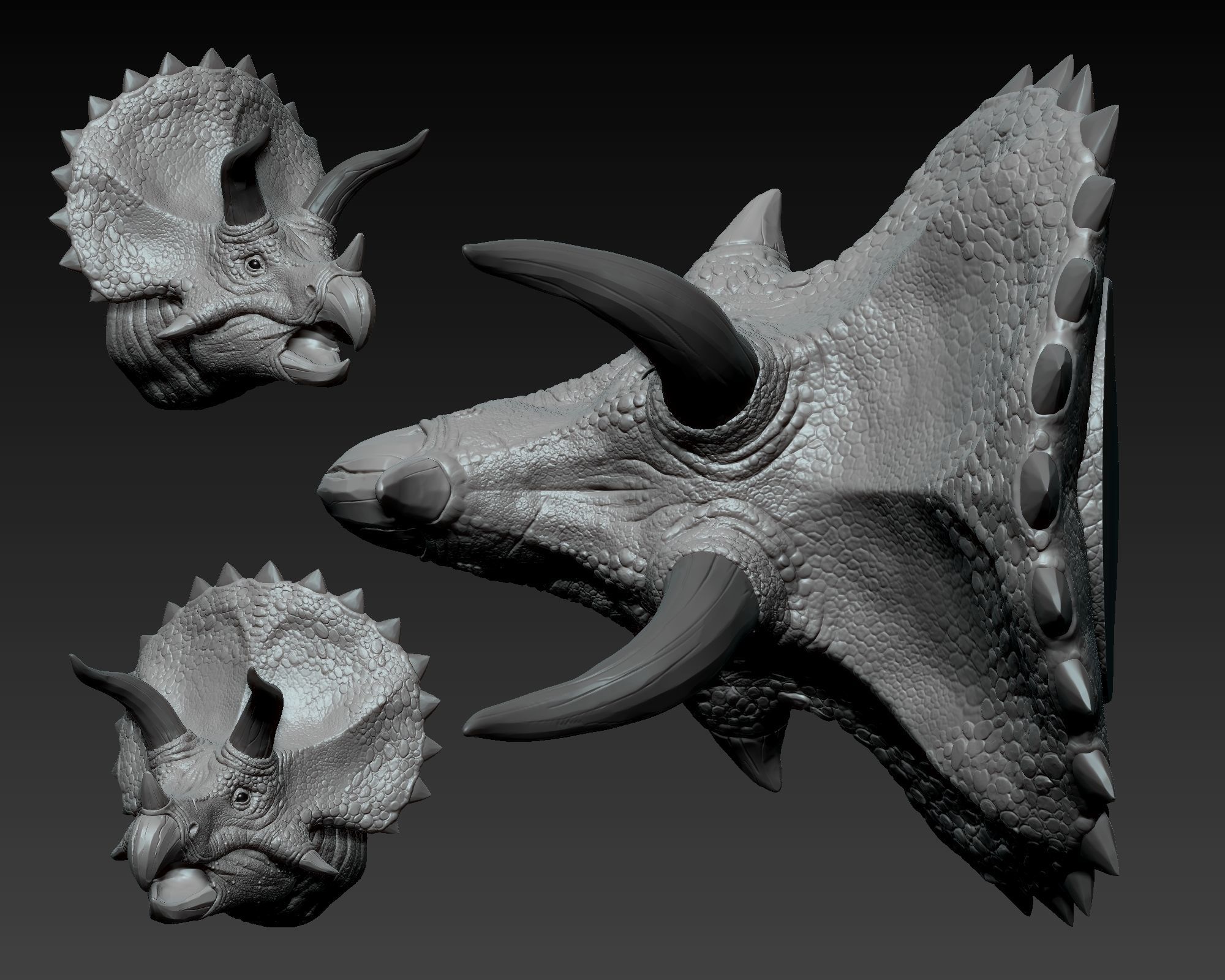 Triceratops Head 3D model 3D printable | CGTrader